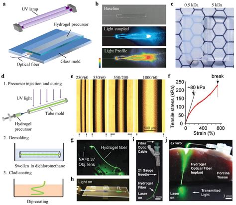 Soft And Stretchable Polymeric Optical Waveguide Based Sensors For Wearable And Biomedical