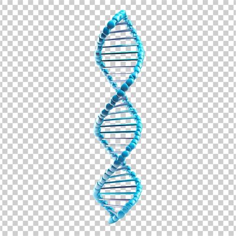 premium psd 3d blue dna helix sequence element isolated on a