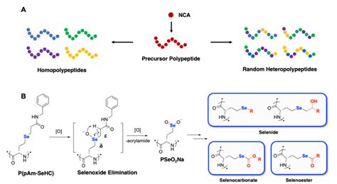 Post Polymerization Modification Ppm Of Polypeptides Through Highly