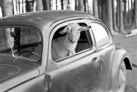 Gallery Split Window Gallery Split Window