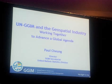 unsd — un ggim