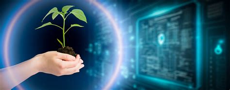 식물을 재배하기위한 농업 기술 및 자연의 생물학 및 화학 분야의 과학 연구 농부의 손에 녹색 새싹이 살아 있습니다 유기적 디지털 배경 Dna에 대한 스톡 사진 및 기타