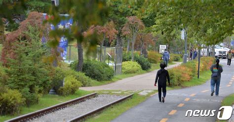 가을 옷 갈아입는 철길 숲