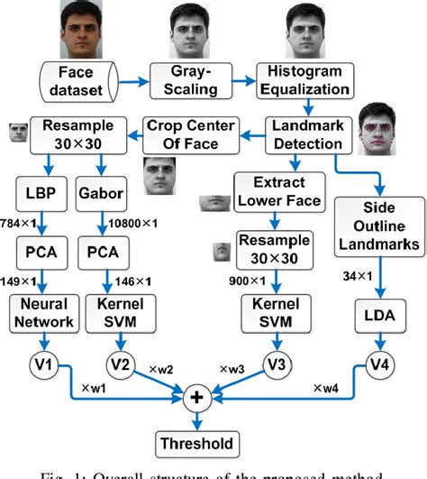 Figure 1 From A Fusion Based Gender Recognition Method Using Facial Images Semantic Scholar