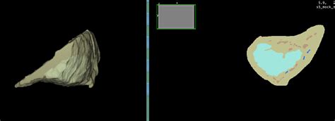 D Viewer Trouble V Issue Mobie Mobie Viewer Fiji GitHub