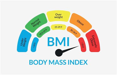 Body Mass Index Infographic Chart Colorful Bmi Chart Vector