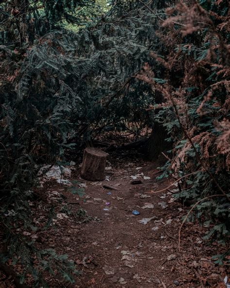 The Male Afghan And Iranian Sex Workers In Berlins Tiergarten