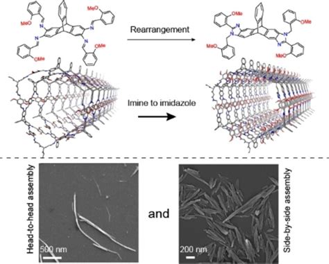 Structural And Morphological Transformations Of Covalent Organic