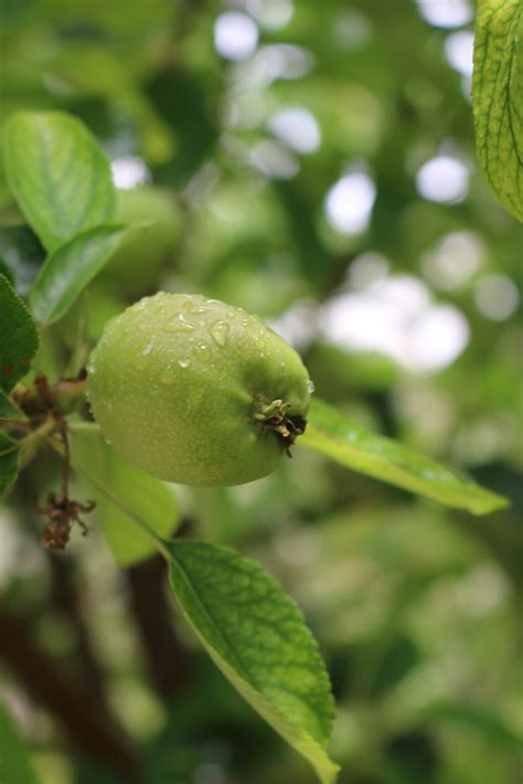 Img4760 Chaker Mouelhi Flickr