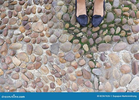 Grass Stone Floor Texture Pavement Design Stock Image Cartoondealer