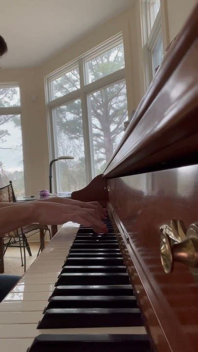 Resonant Chamber” Wayne Lytle Animusic Piano Cover Youtube