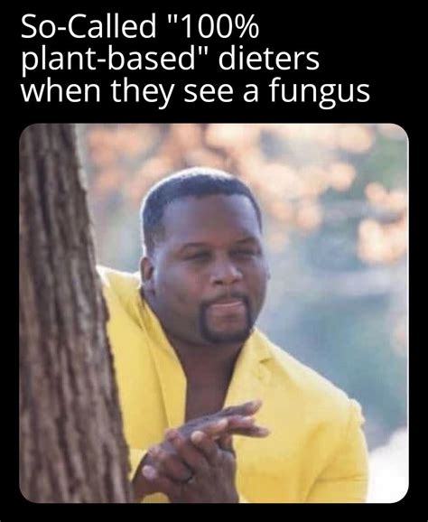 447 Best Buffoon Images On Pholder Political Humor Balatro And