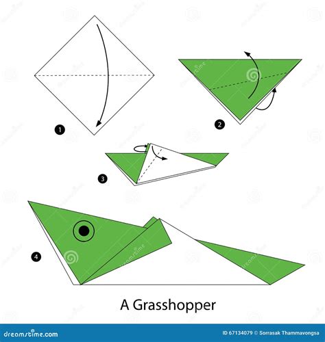 Step By Step Instructions How To Make Origami A Grasshopper Stock