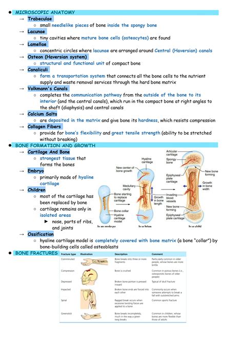 SOLUTION Skeletal System Laboratory Notes Studypool