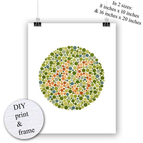 Ishihara Eye Chart Color Blind Test Prints Printable Digital Download