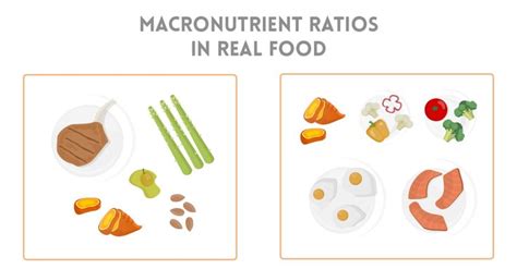 Infographic Macronutrient Ratios In Real Food Macronutrient Ratio