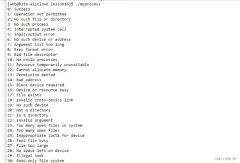 Linux 进程控制