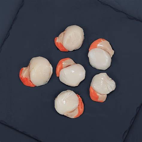 Tasmanian Scallops Meat Agnes Water Seafood