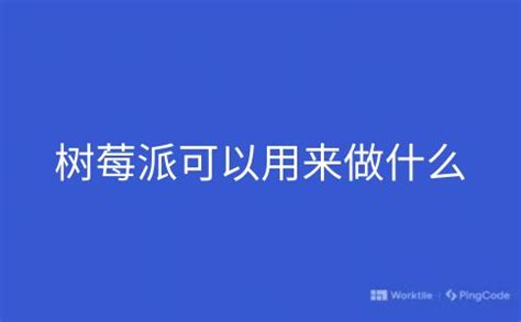 树莓派可以用来做什么 Worktile社区