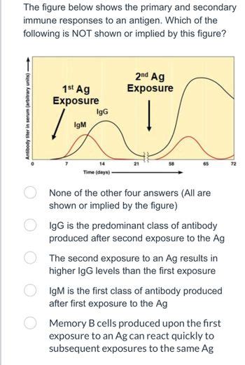 Answered The Figure Below Shows The Primary And Secondary Immune Responses To An Antigen Which
