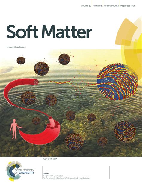 Pdf Self Assembly Of Actin Scaffolds On Lipid Microbubbles