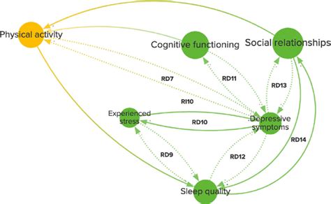 A Cluster Of Long And Nested Feedback Loops In The Causal Loop Diagram Download Scientific