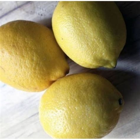 Jual Jeruk Lemon Lokal Berat Kg Pengiriman Medan Shopee Indonesia