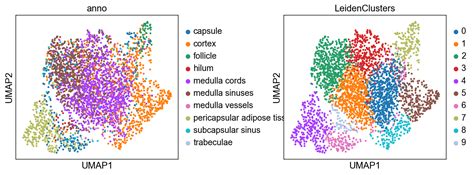 Tutorial 3 Cross Modality Representation Of Spatial Rna Adt Co