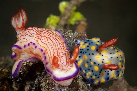 ᠻỉకꫝ on Tumblr