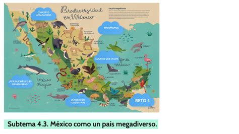 Tema 4subtema 43 México Como País Megadiverso By Ariadna Santa Anna