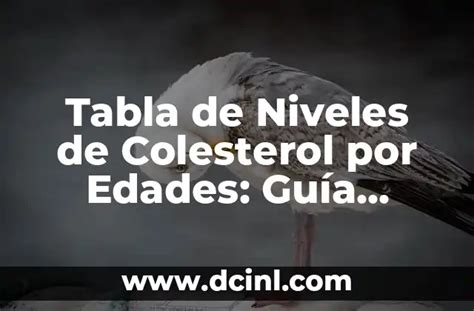 Tabla De Niveles De Colesterol Por Edades Guía Completa