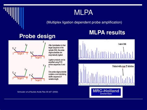 Ppt Implications Of Genetic Testing Powerpoint Presentation Free Download Id5057482