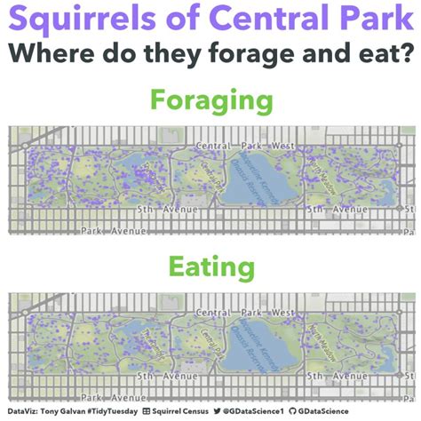 Anthony Galvan M S On Linkedin Tidytuesday Datascience
