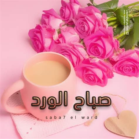 صباح الورد اجمل صور ورد مكتوب عليها للحبيب للاصدقاء جديده روعه Cake