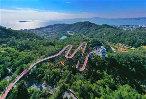 1月8日，厦门山海健康步道林海线全线正式开放 新闻频道 厦门网
