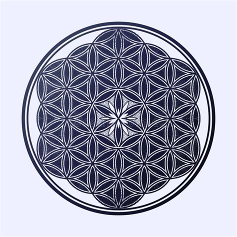 Flower Of Life Intersecting Circles Forming Stock Illustration