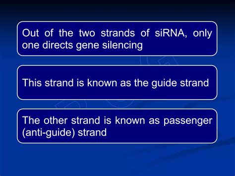 Rna Interference Ppt