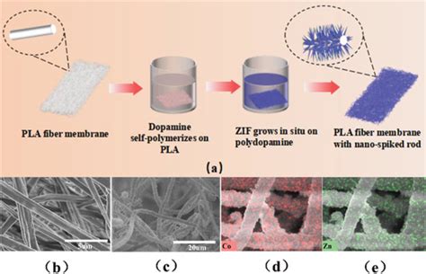 The Fabrication Of Zif‐coated Pla Fibers A The Schematic Diagram Of