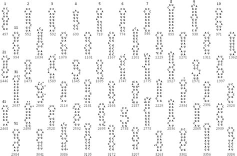 Incorporating Global Features Of Rna Motifs In Predictions For An Ensemble Of Secondary