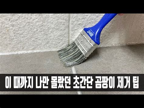 한국인 대부분이 모르는 곰팡이 제거 꿀팁 붓질 한 번이면 새하얗게 제거되어 너무 감사하네요