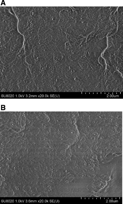 SEM Pictures Of C CB LDPE And I CB LDPE Nanocomposites A C CB LDPE Download Scientific