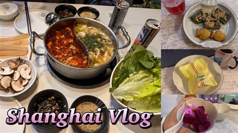 🇰🇷🇨🇳vlog 퇴근하고 저녁밥 챙겨먹다가 끝나는 일상 몽골의 카이막🥛나이피 중국 간식추천🍓 상하이 쑤안차이위 훠궈德林酸菜鱼 자취요리 Abc주스🩷용과그릭요거트