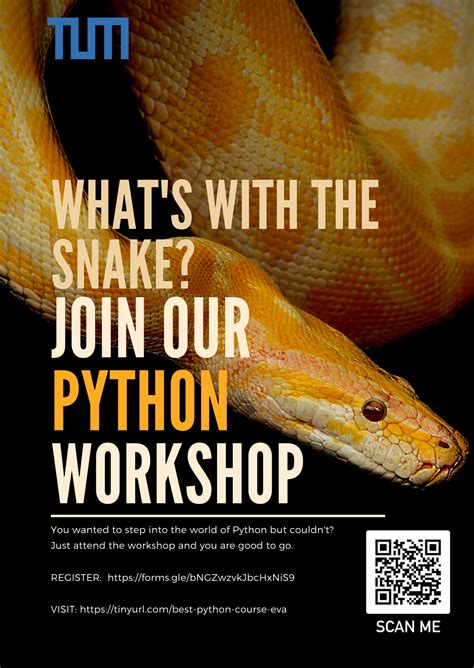 python posters