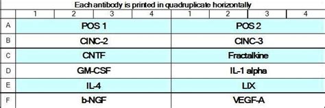 Rat Cytokine Array Gs1 Raybiotech