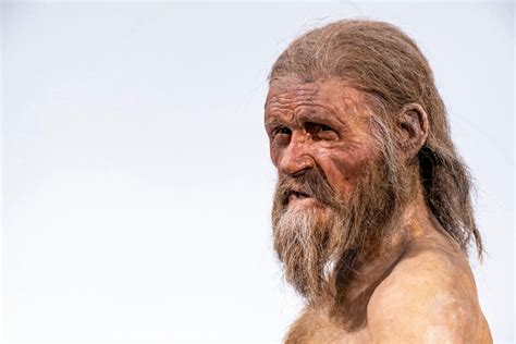 Ötzi The Iceman Gets A New Look From Genetic Analysis Scientific American