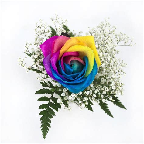 Rainbow Rose Bouquets Wholesale Rainbow Rose Bouquets