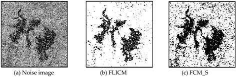Sensors Free Full Text A Local Neighborhood Robust Fuzzy Clustering Image Segmentation