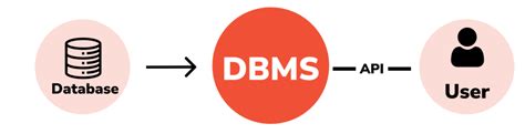 Difference Between Dbms And Rdbms 5 Key Facts 📊