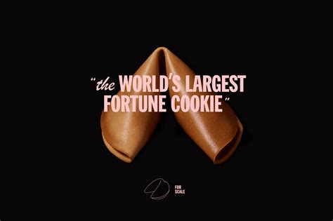 Image Sharing App Letter Photography Client Ts Fortune Cookie
