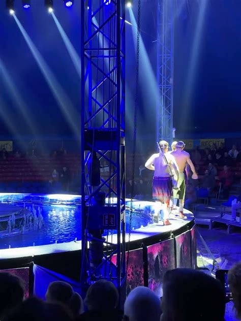 Waterland Wasserzirkus Berlin 10112024 Youtube